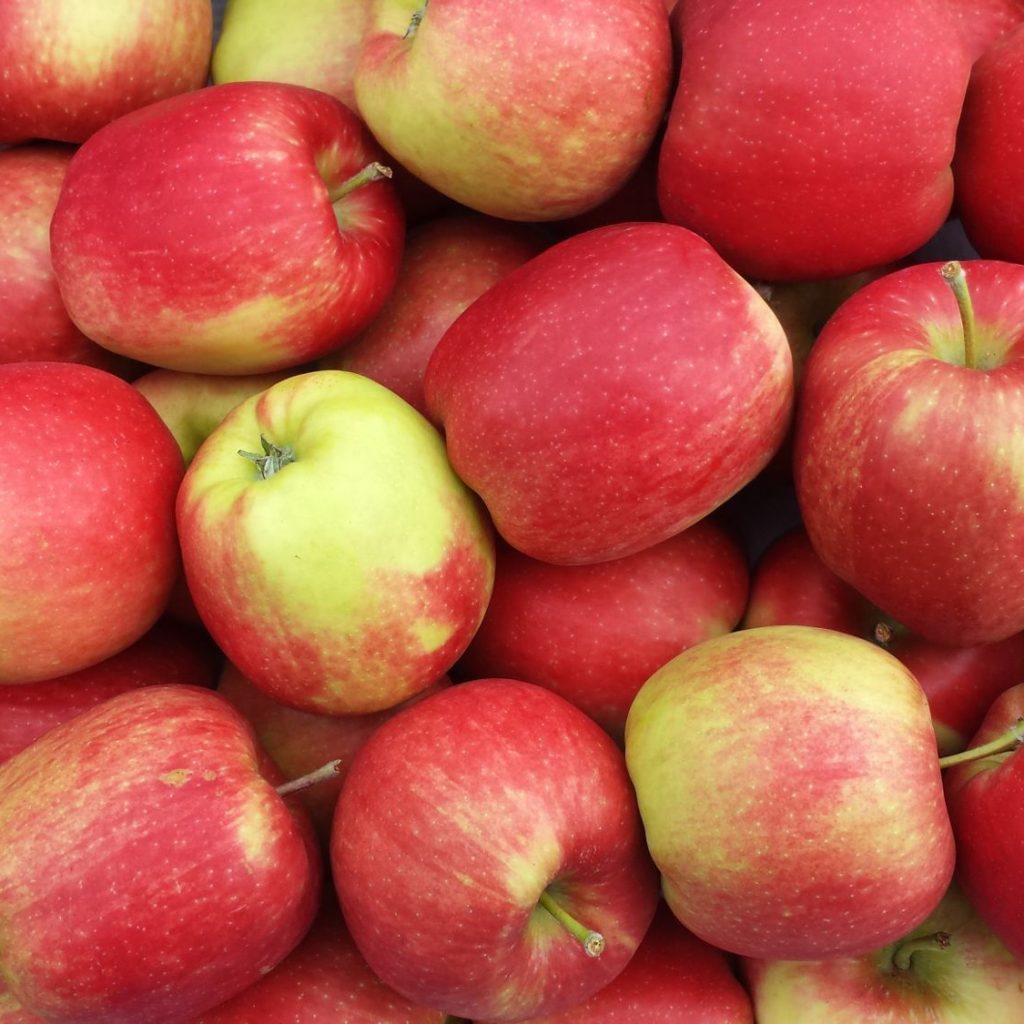 Onze Winkel – Fruitkwekerij De Stokhorst | Groessen